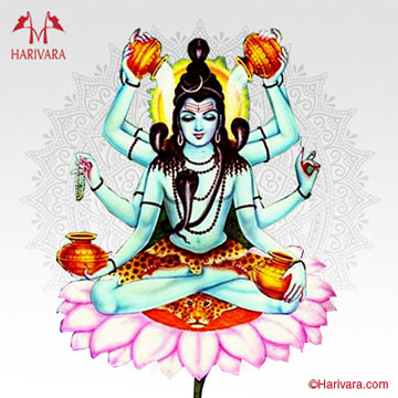 Homa - Harivara.com