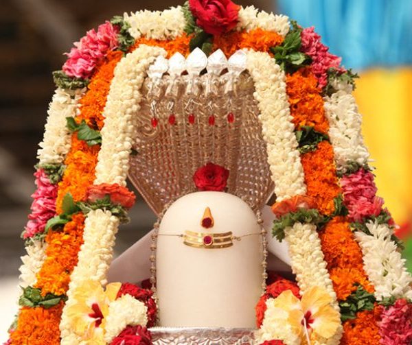 Rudrabhishekam Pooja | Removes Negative effects of Nakshatras ...