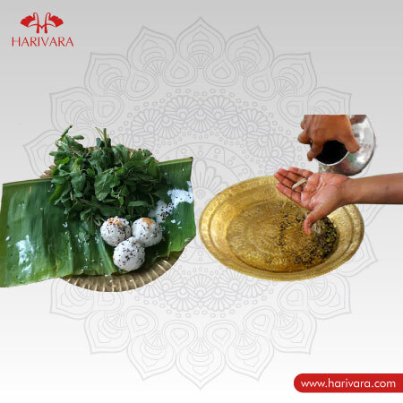 Book Vedic Vadhyar for Thithi | Death Ceremony | Harivara.com